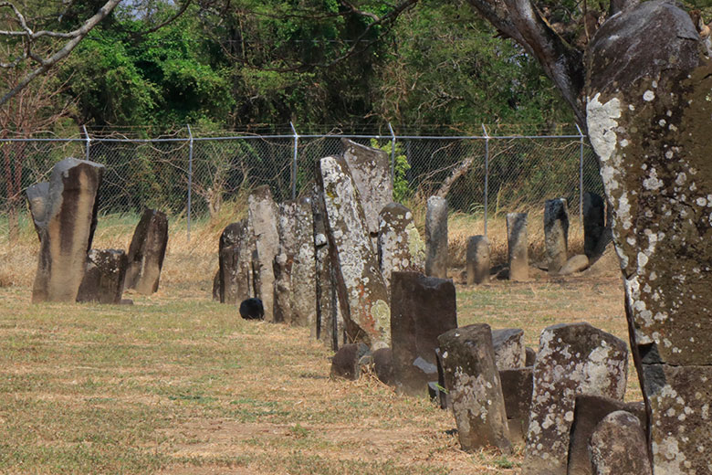 Ven al sitio arqueológico de la cultura en Coclé - Destinypty