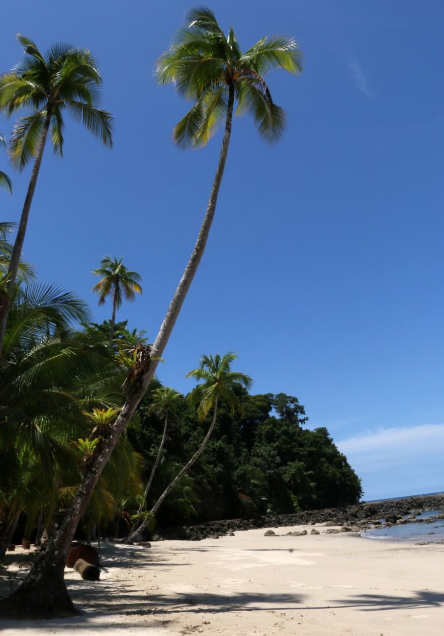 Panamá se prepara para certificación de playas por Coiba AIP - Destinypty