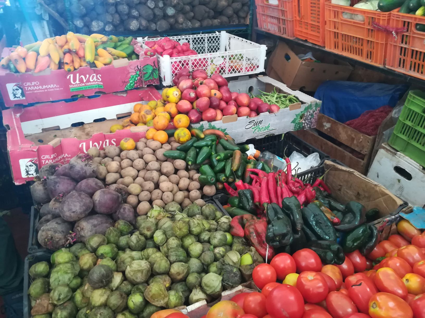 TOUR POR LOS VEGETALES PANAMEÑOS - Destinypty